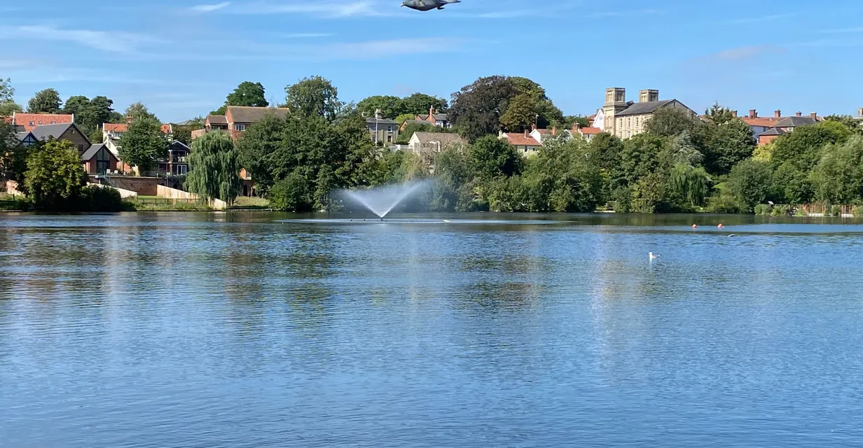 Diss Property Guide | Location Location