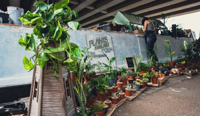 Lower Clapton Property Guide | Location Location